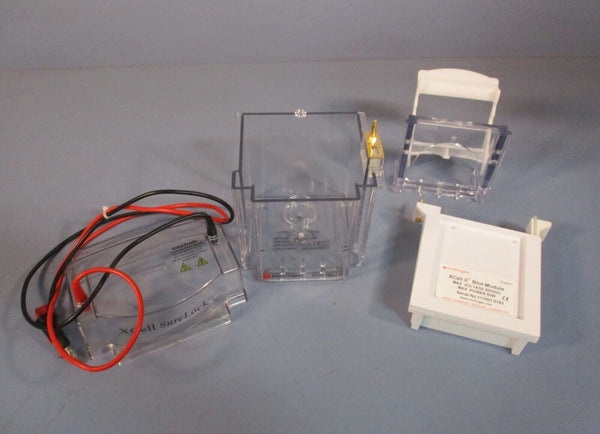 Invitrogen SureLock Novex Mini-Cell Electrophoresis w/ Xcell II Blot M | eTech Surplus