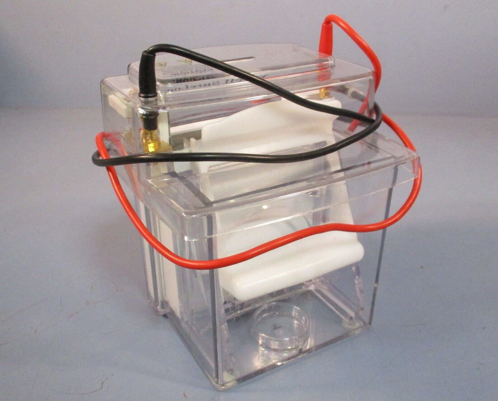 Invitrogen SureLock Novex Mini-Cell Electrophoresis w/ Xcell II Blot M | eTech Surplus